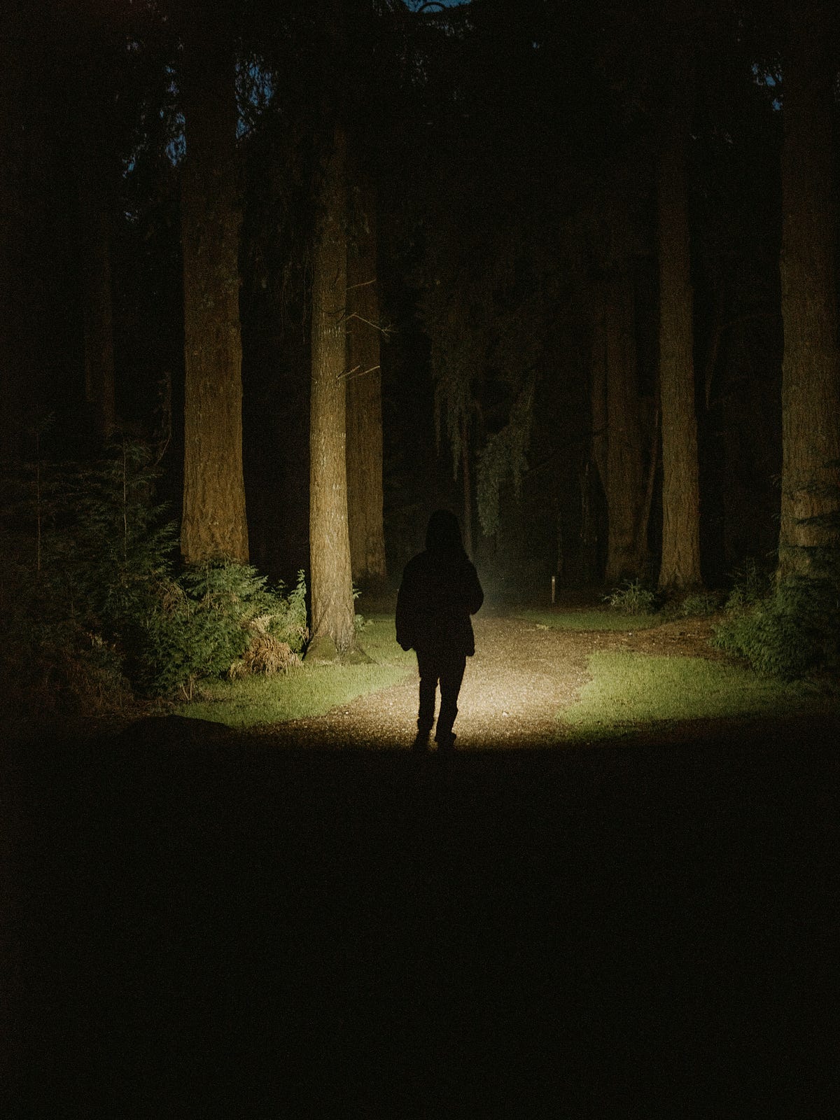 Reincarnation. This was one of those scores of stories… | by Prateep Roy | Nov, 2024 | Medium
