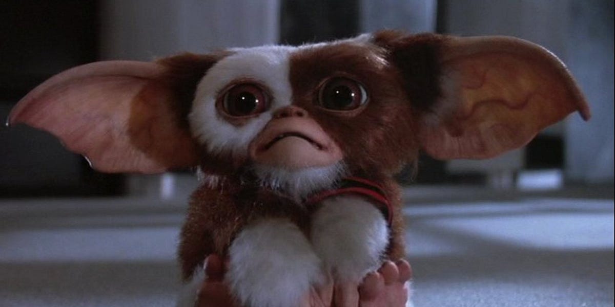 There’s a Lot We Don’t Know About Mogwai, and That’s a Problem | by ...