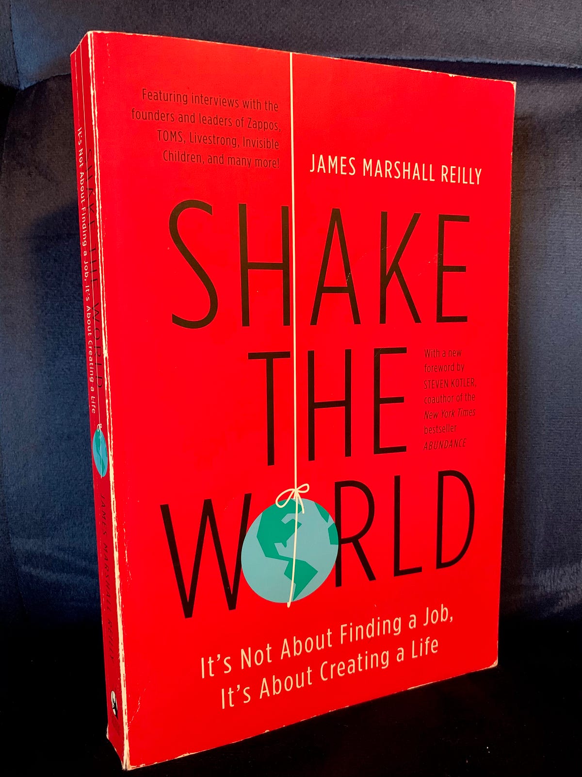Lessons I Learned From “Shake the World” | by Janay Wright | Amateur ...