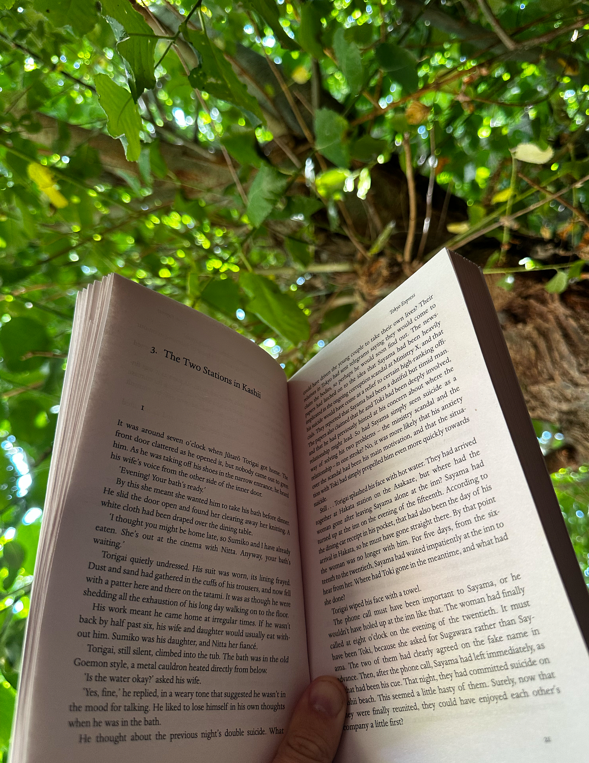 Underneath The Tree | by Dan Smedley | Medium