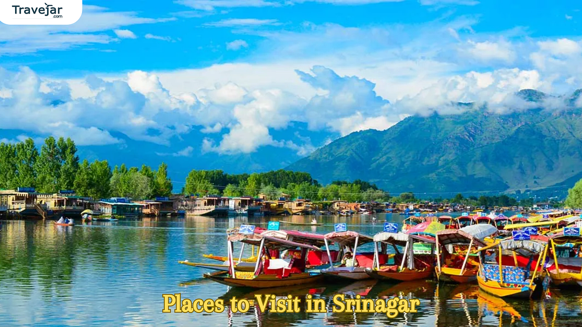 Discover Srinagar in 2024: Top Places to Visit in Srinagar | by ...