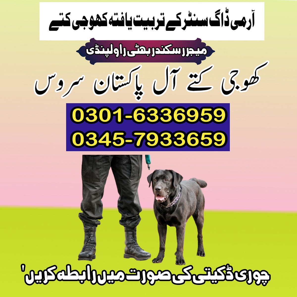 Army Dog Centre Bannu 03005454118 - Khoji Dog Contact Number Khoji ...