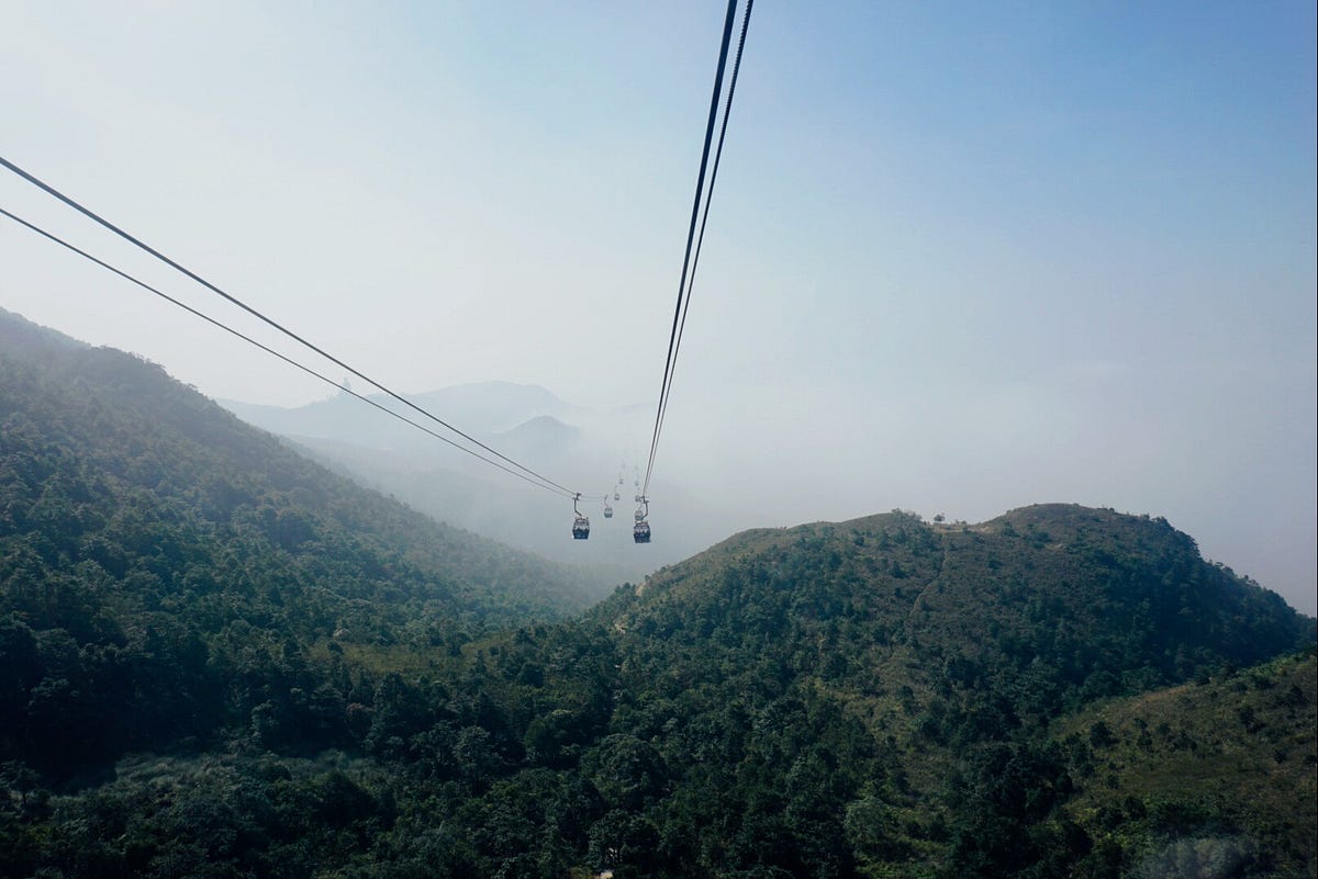 Hong Kong- 1/12/19. Big Buddha & Animal Dim Sum | by Rachel Dille | Medium