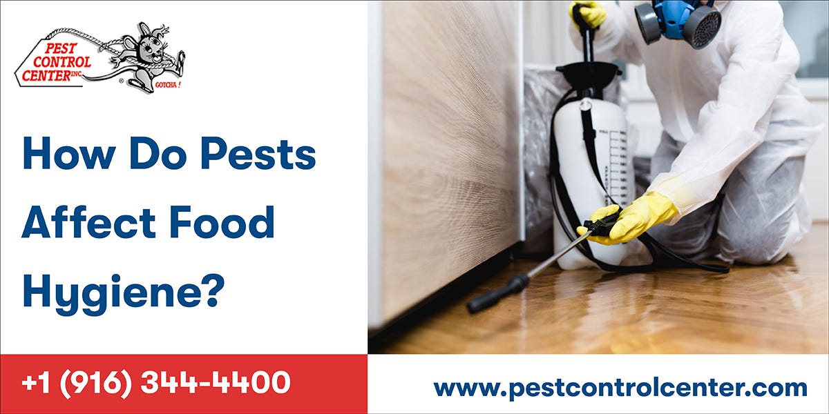 How Do Pests Affect Food Hygiene? - Jam kahana - Medium