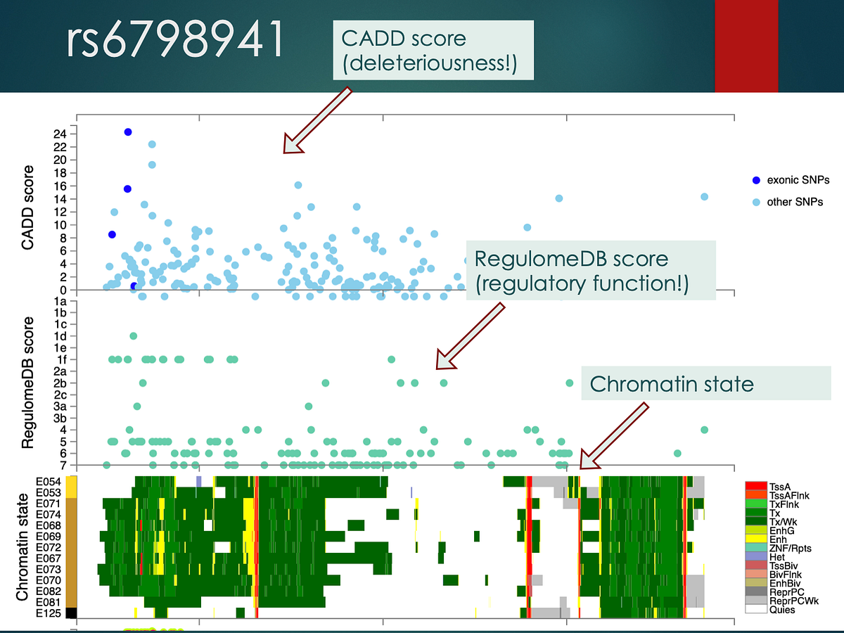 GWAS post-processing. Human genetics analysis 上課筆記 | by Peng, Chien Wei ...