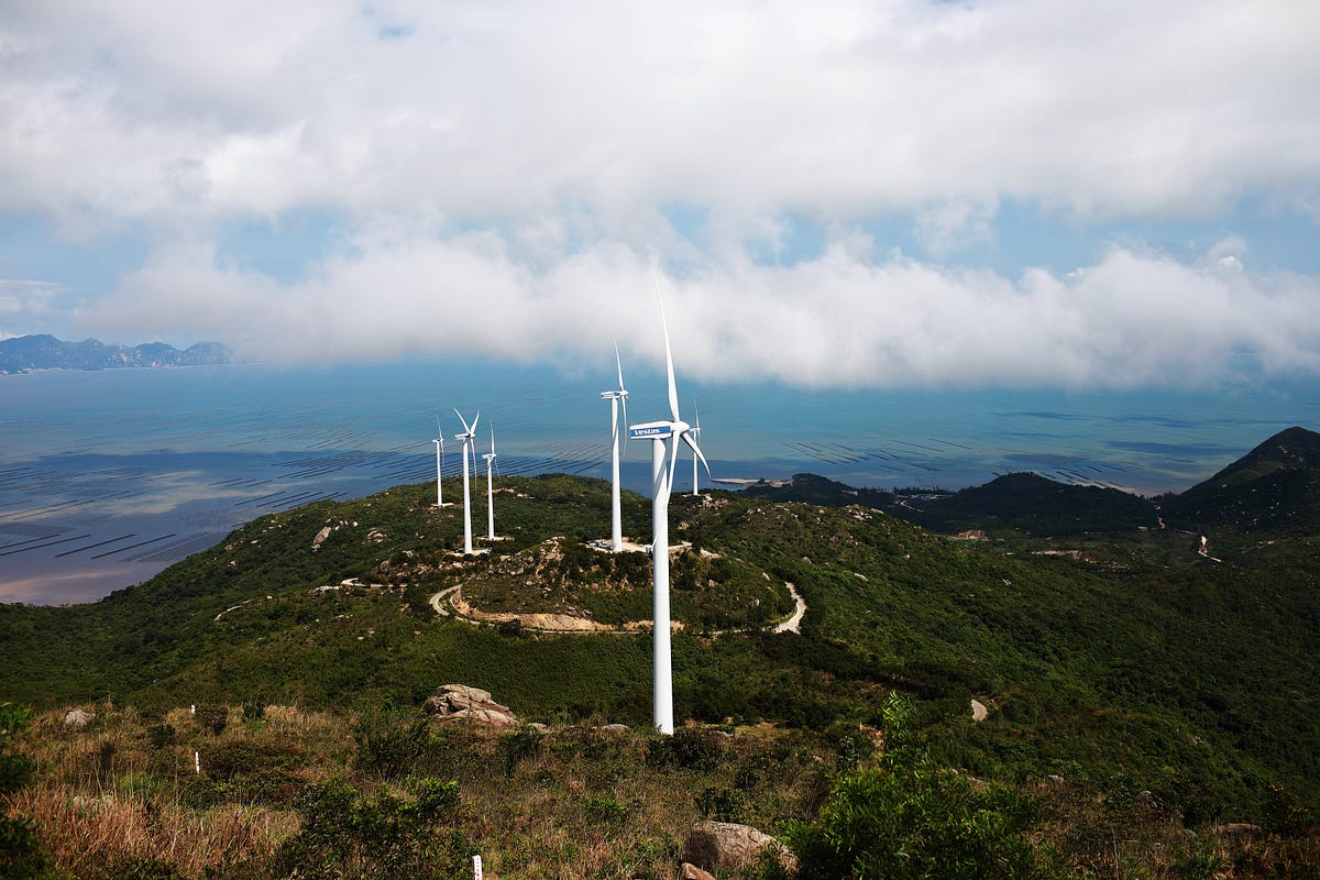 "Sustainable Future: Innovative Projects for Combating Climate Change ...
