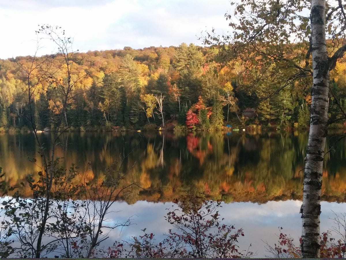 ‘A crazy, little oasis of local news’ in Ontario | by Asmaa Malik | The Future of Local News ...