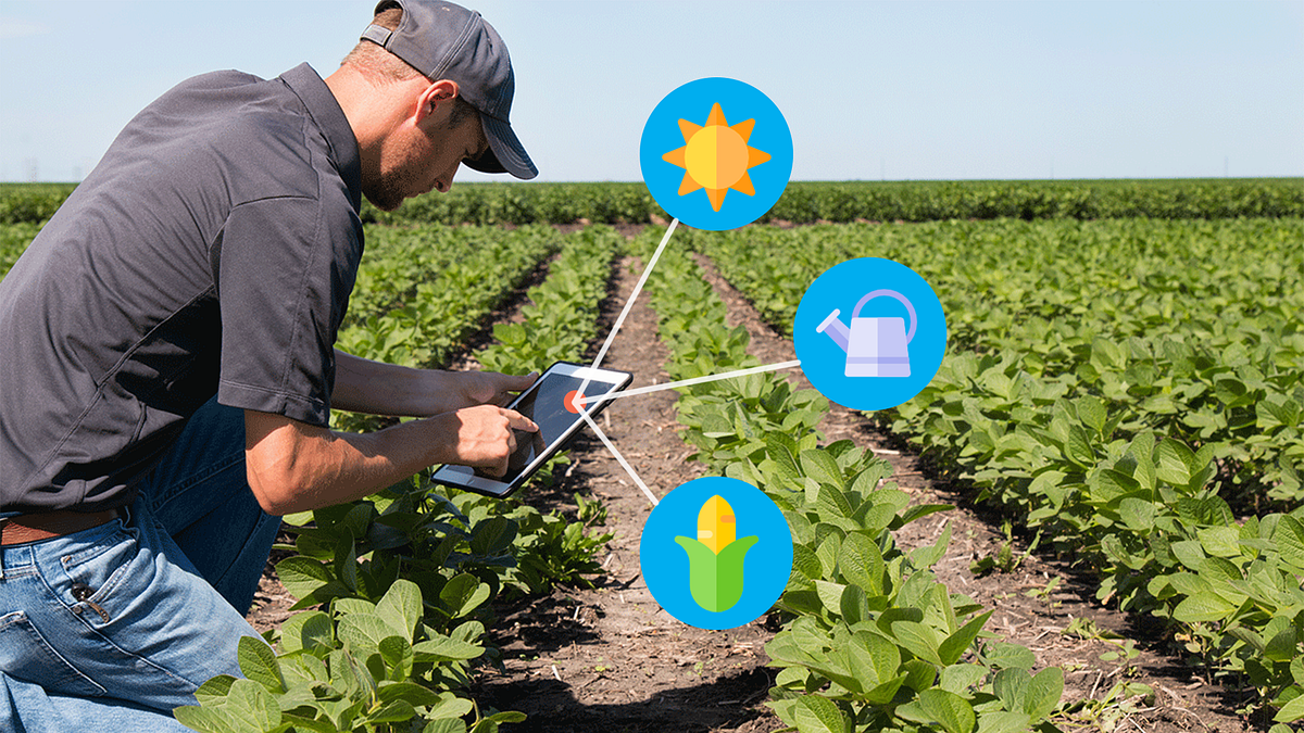 Let’s put our Farm on the Internet | by Spandan Samiran | Medium