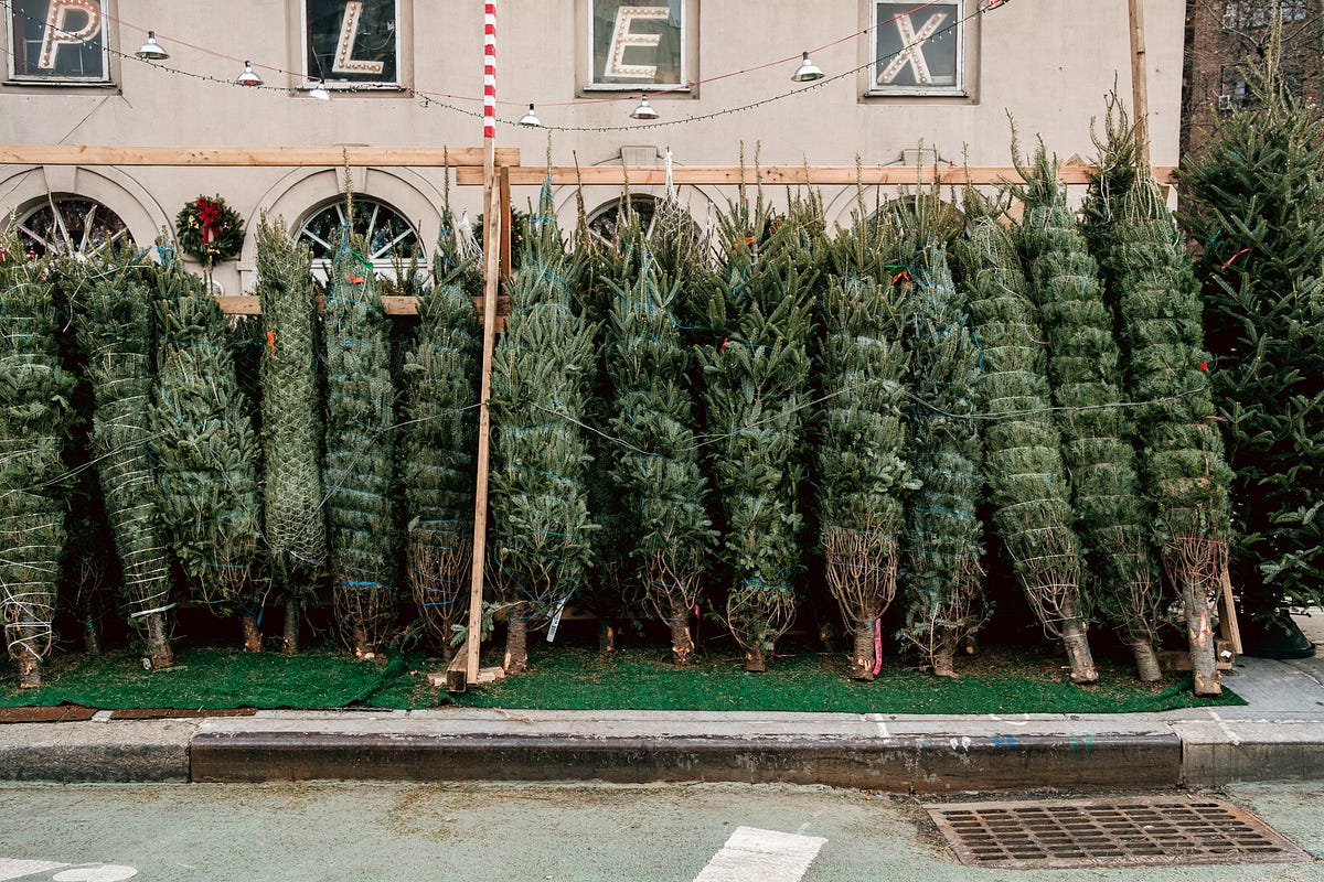 One Two Tree. Back in December, I was walking around… | by Mikeyboards ...