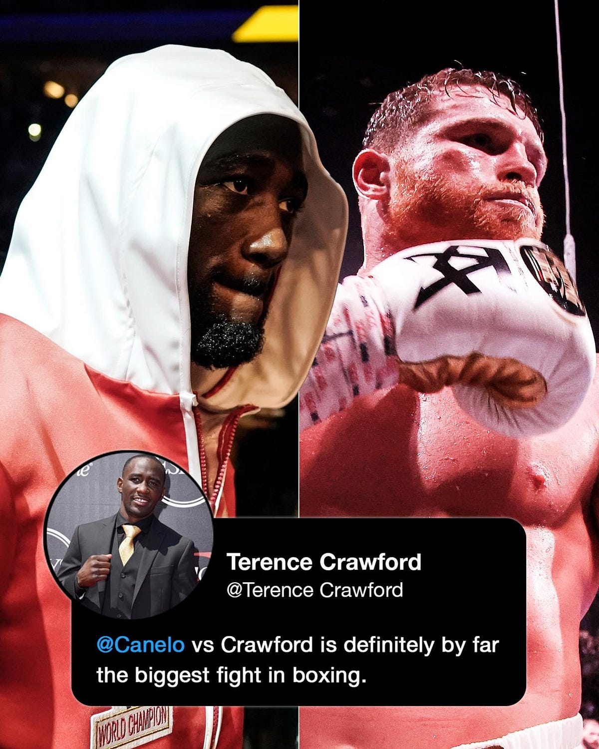 Terence Crawford’s Ambitious Quest for Canelo Alvarez’s Super ...