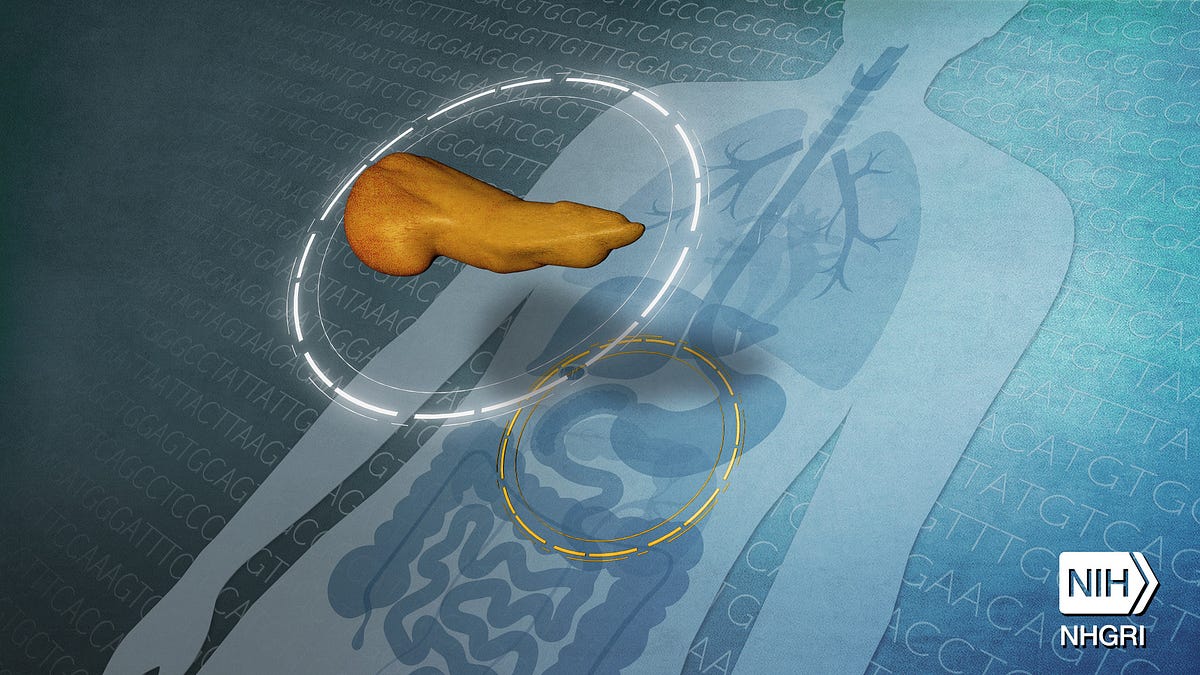 Diabetes Quick Summary — from its Development to Treatment | by Safia ...