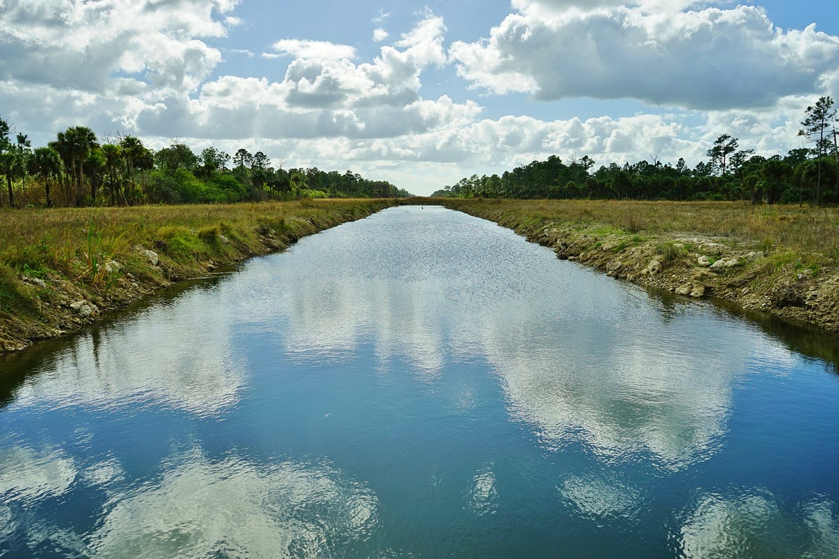 Picayune Strand Restoration Project poised to enter home stretch | by ...