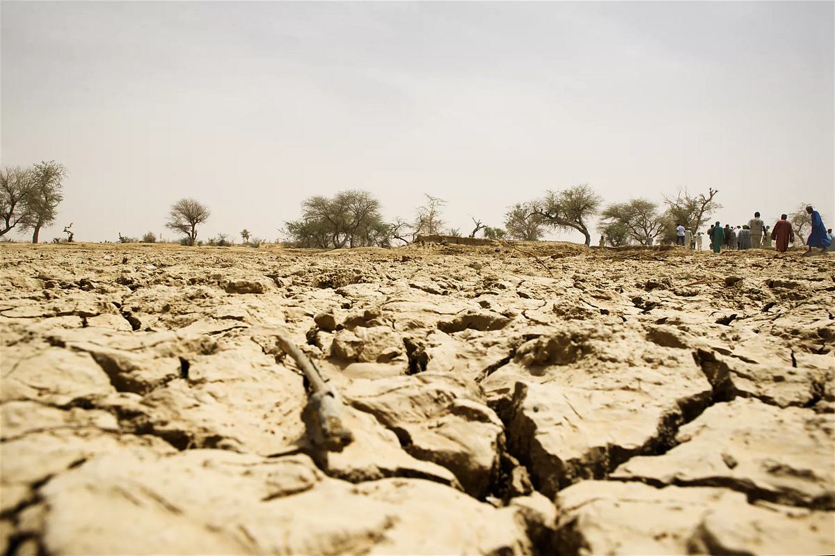 Resilience: A sultan and half-moons strengthen communities in Niger ...