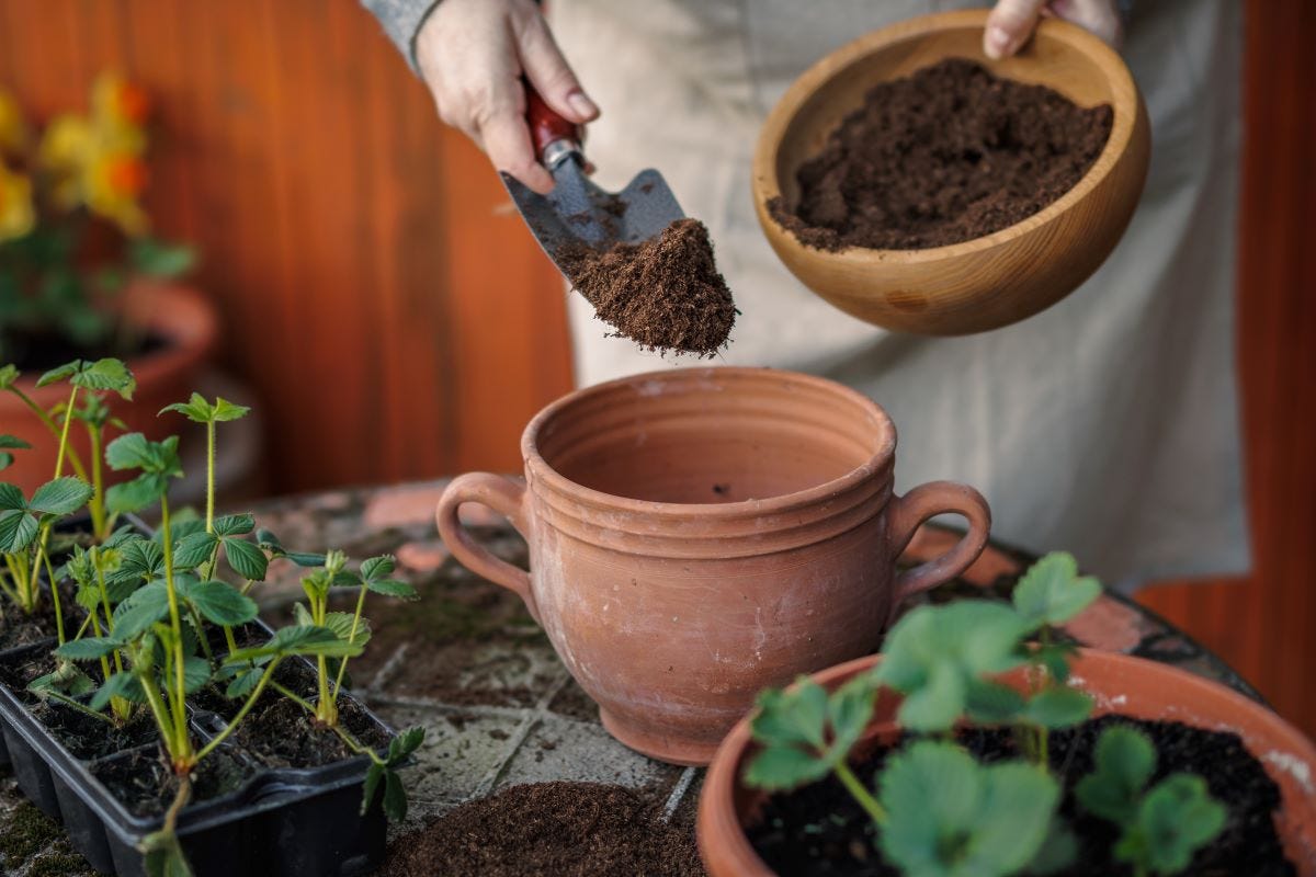 5 Super Simple DIY Potting Soil Recipes | by Lindsay Olin | The DIY ...