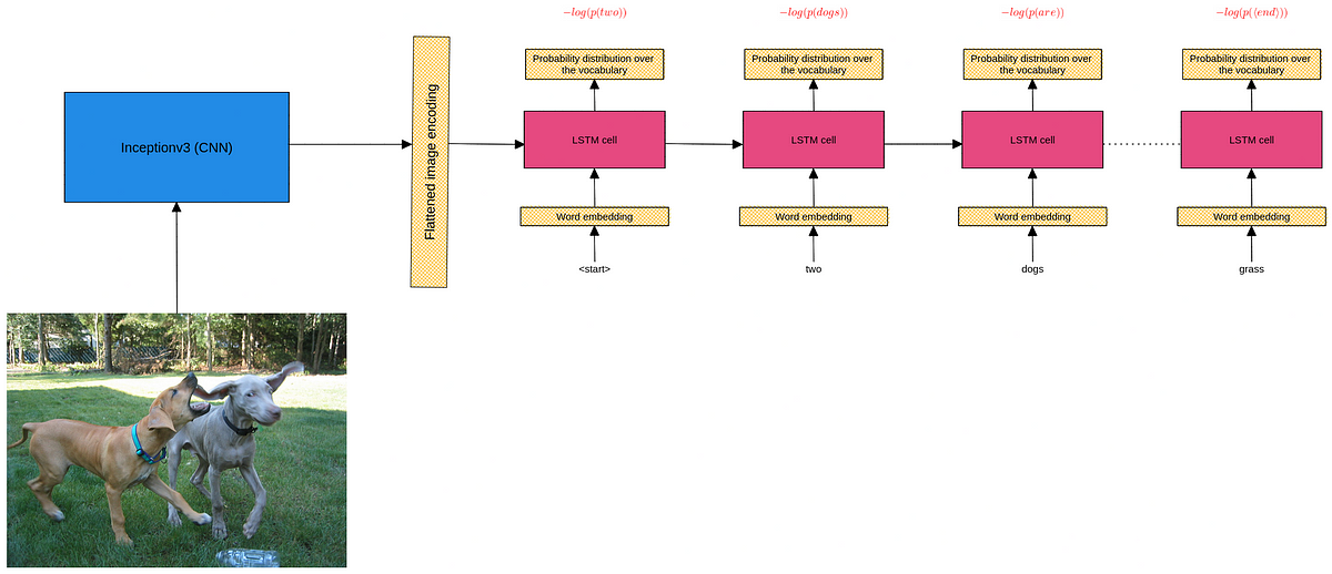 End To End Implementation Of An Image Caption Generator With Cnn And Rnn Using Tensorflow And 2470