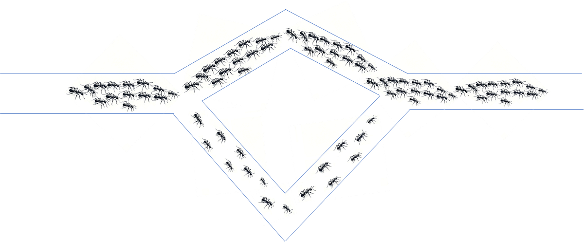 Ant Colony Optimization — Instinct, Code & Visualization | by James Koh ...