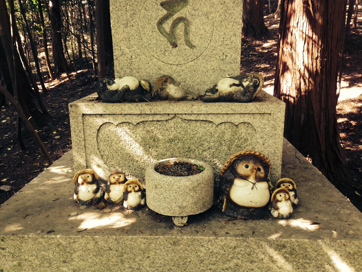 Tanuki in Sekizan Zen Temple in Kyoto. | by Naoko Katano | Medium
