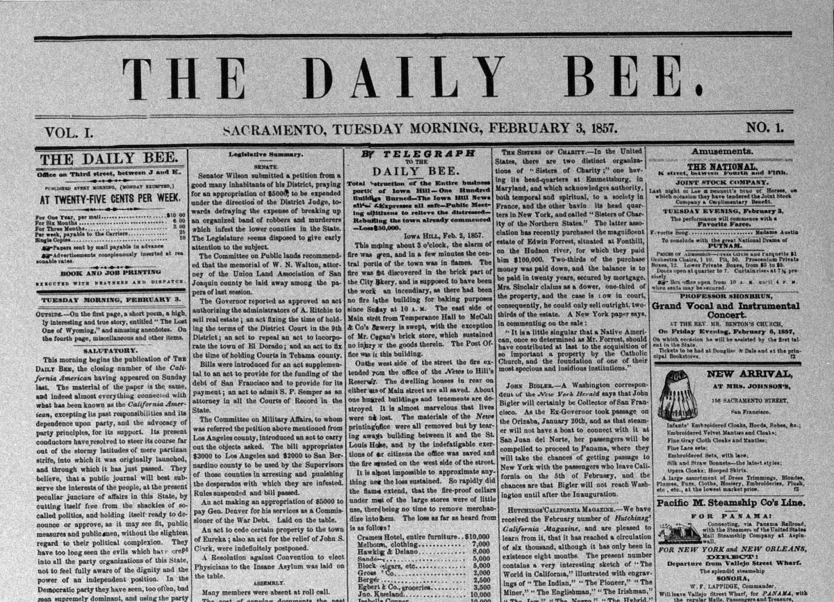 The Daily Bee. Hi there, | by Shoaibrehman | Medium