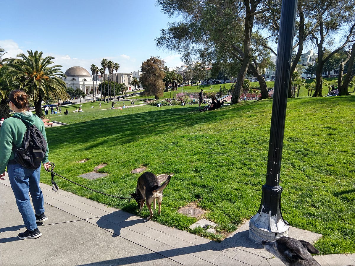 Lockdown Journal: Day 4. San Francisco in the Covid-19 Crisis | by ...