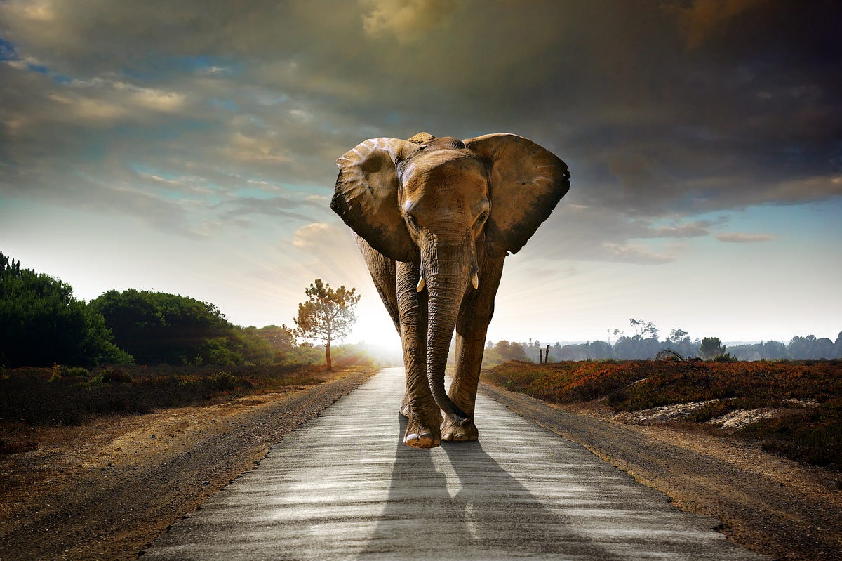The World’s Biggest Problem. Here’s how to deal with the elephant in ...