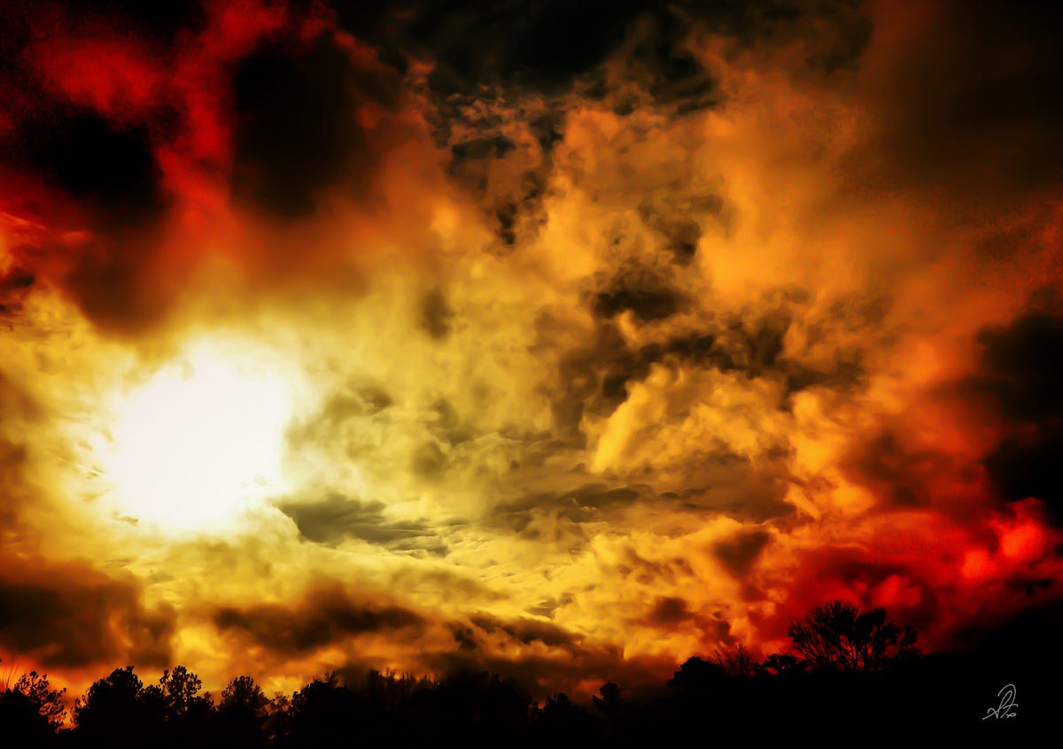 Future Glory Set Me Free. When killing each other won’t set us… | by ...