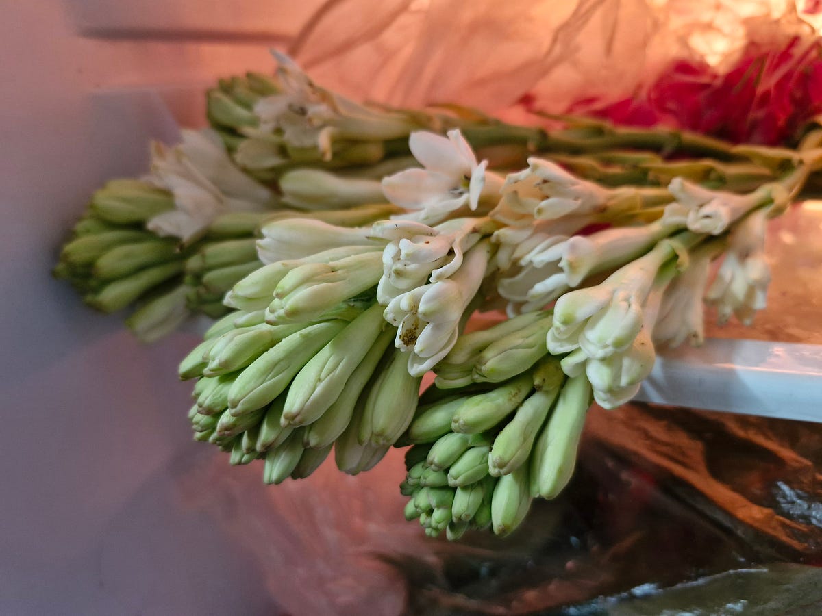 The Fragrance of July. 52 Week Photography Project — July 2025… | by ...