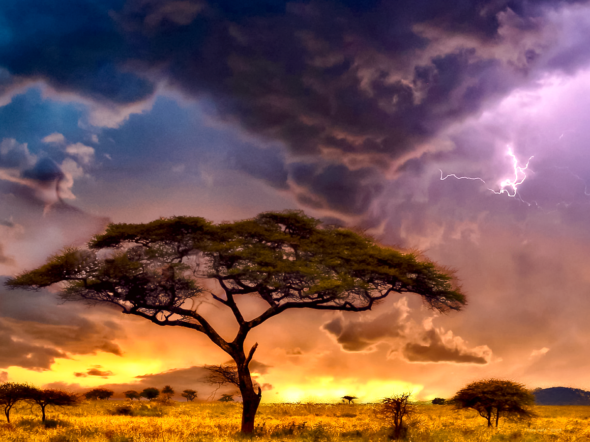 Why Get Your Photo Clicked By Professional Photographers On Canvas ...