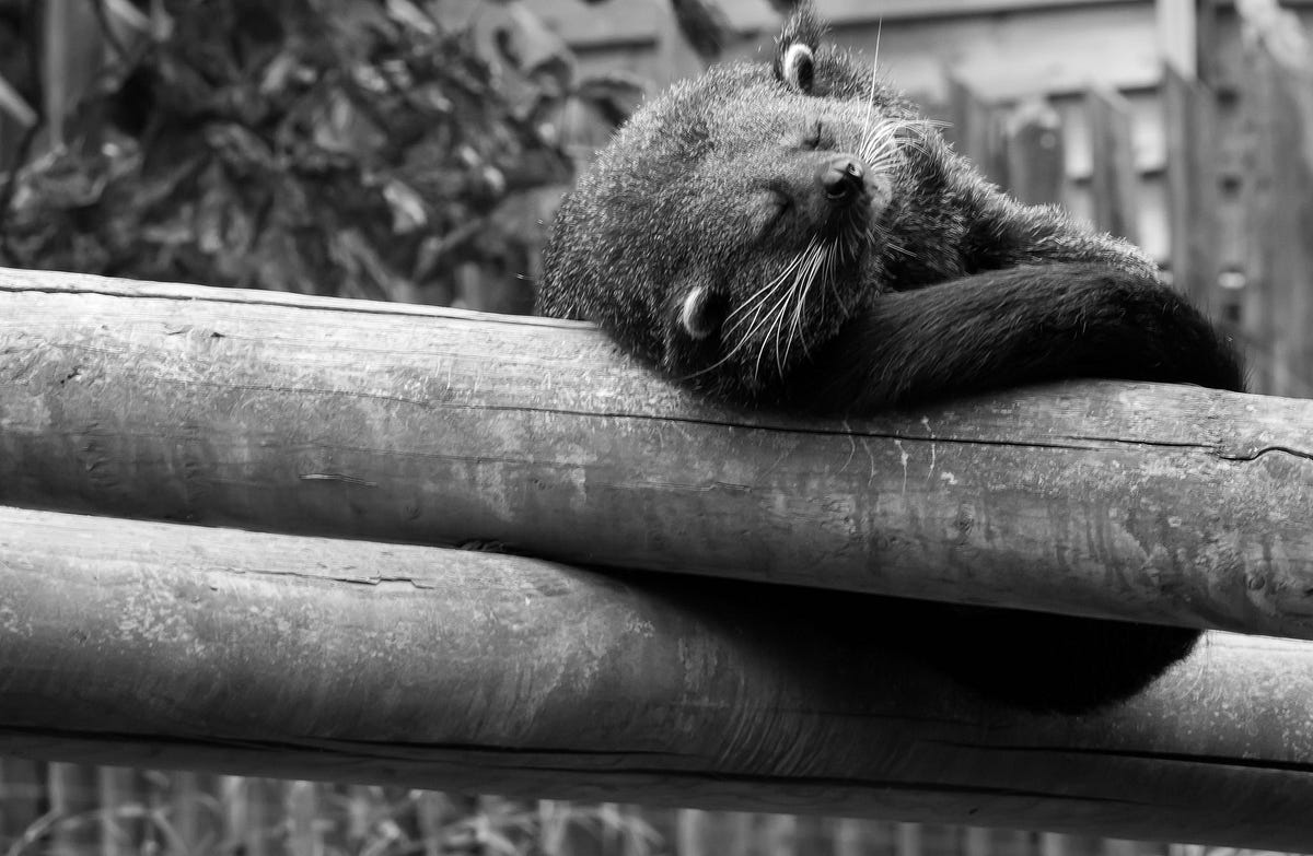 Thread.Sleep. Suspends the current thread for a… | by Developing Daddy | Medium