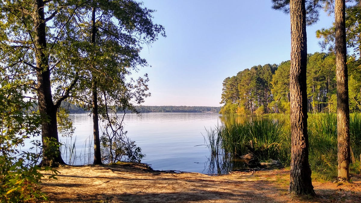 Harris Lake County Park - Gina James - Medium