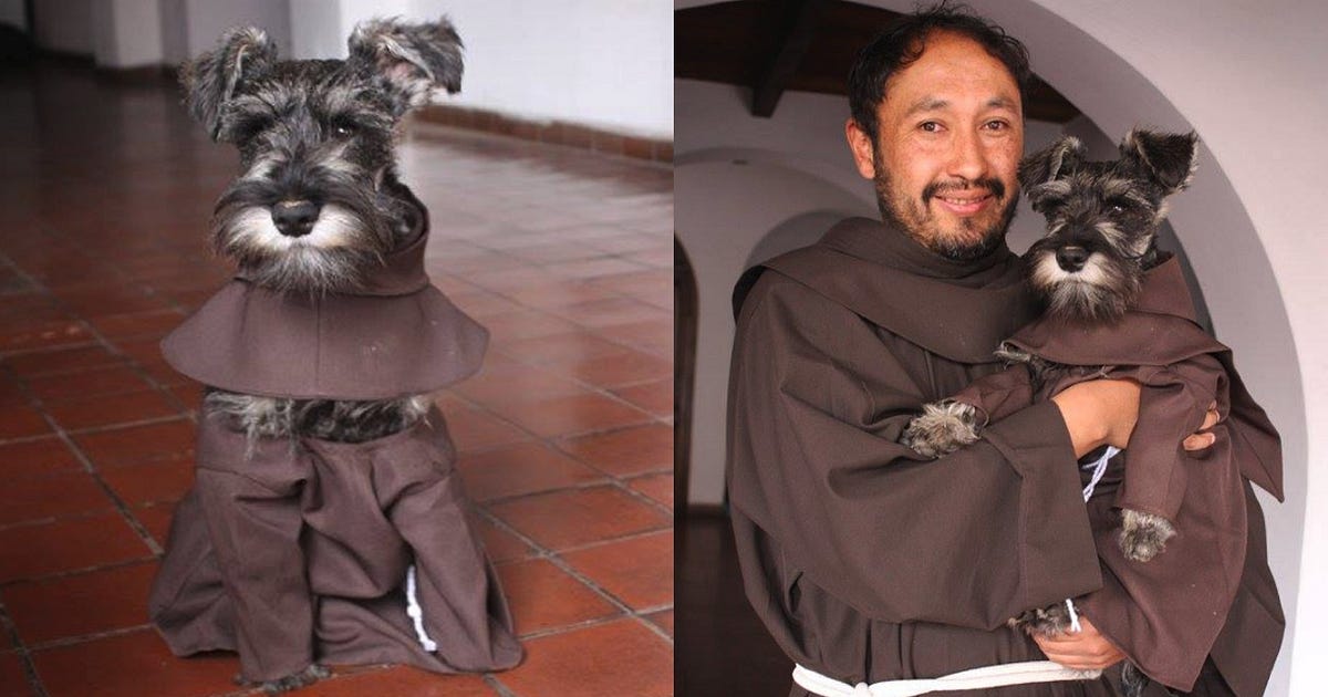 Monks Adopted This Dog & Now He’s One Of Them | by Julianne Ishler ...