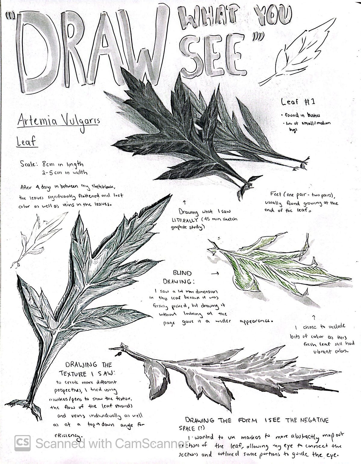 Leaf and Human-made Object - Alice Han Chen - Medium