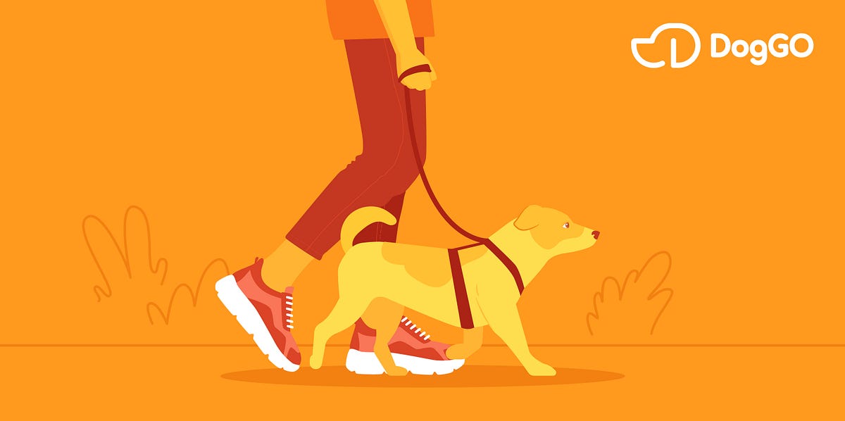 DogGO App Rehberi: Köpek Bilgileri Uygulamaya Nasıl Kaydedilir? | by ...