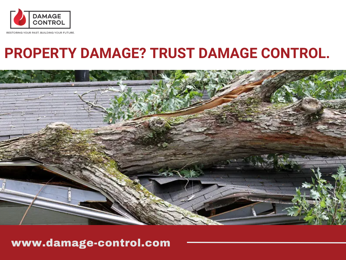 Restoring Your Property: Wind & Storm Damage Repairs by Damage Control ...