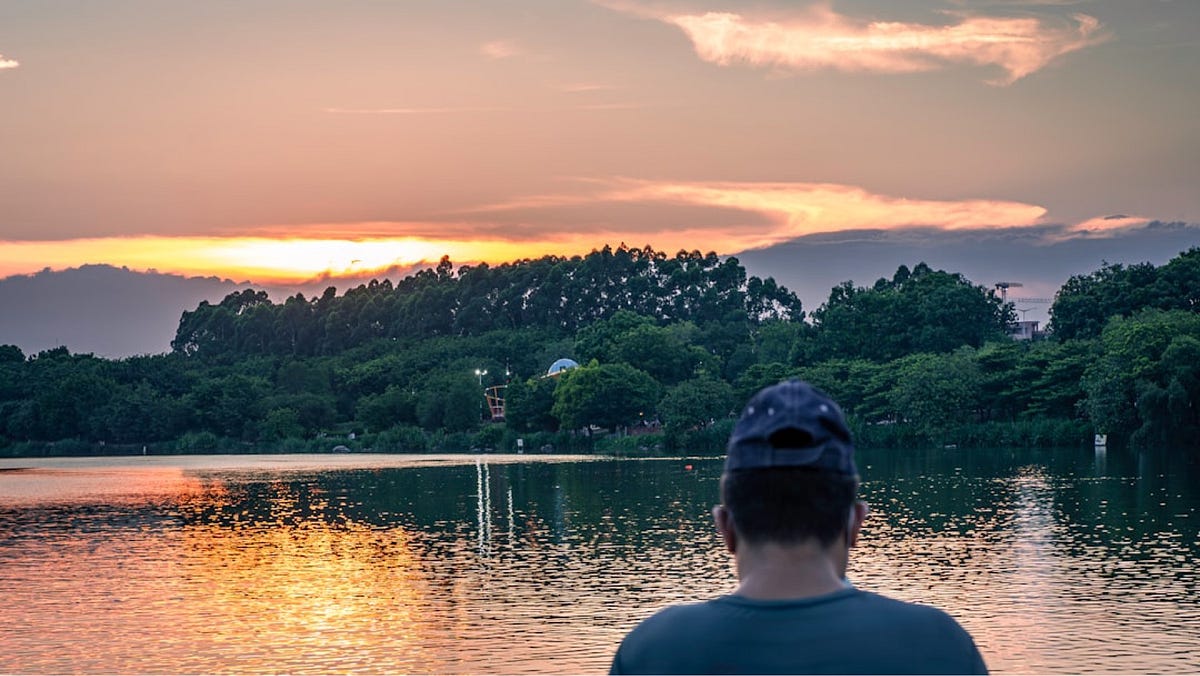 Trauma And The Paradox of Peace. Why survivors experience stillness as ...