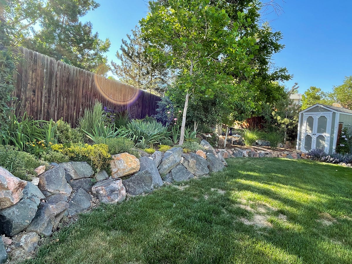 Chapter 6: The Backyard Birthday Talk | by Heatherbaker | Medium