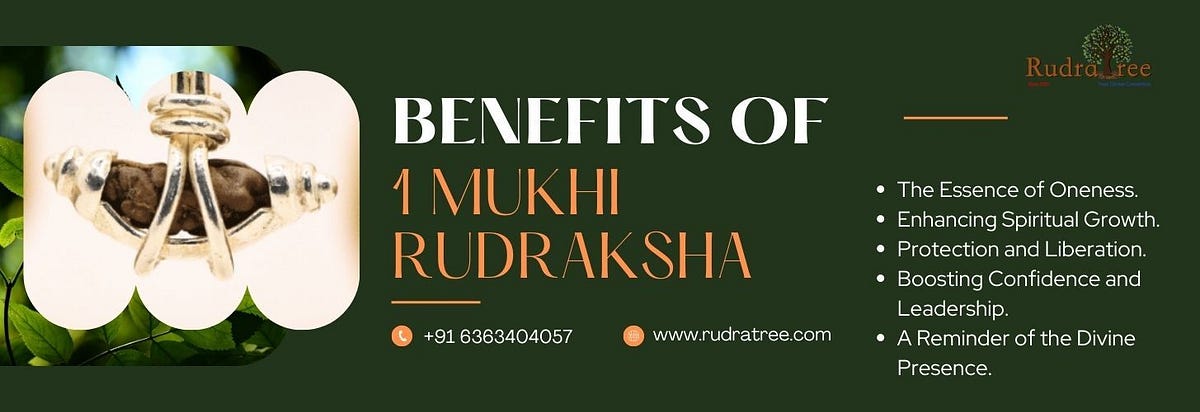 Benefits of 1 Mukhi Rudraksh. Benefits of 1 Mukhi Rudraksh- Unlocking… | by RudraTree | Medium