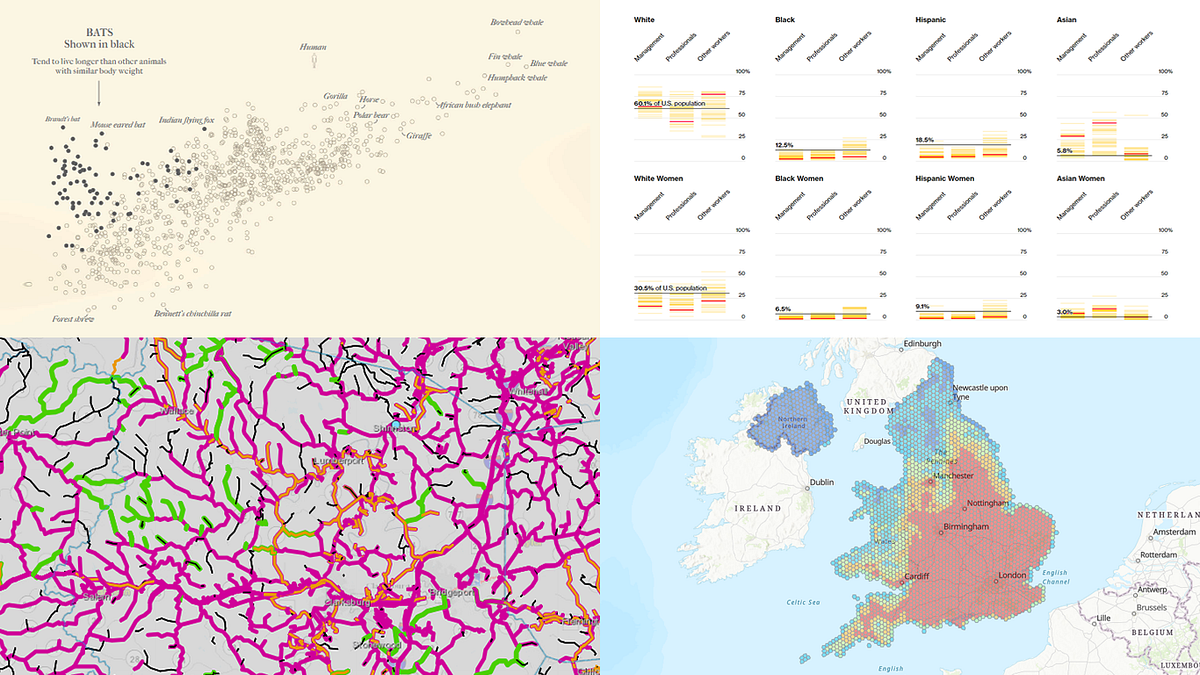 Recognizing Most Interesting New Data Visualizations — DataViz Weekly | by AnyChart | Data ...