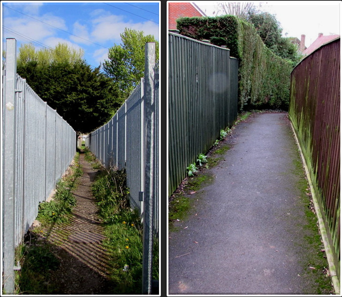 Navigating a Career Landscape: Fenced vs. Walled Paths | by Ari Adut ...