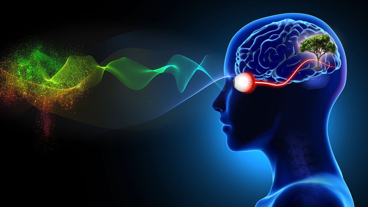 Neurologically True Reality. I have used the term Neurologically… | by ...