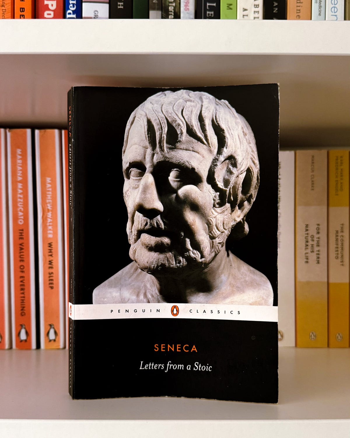 Stoicism in the Undertow. Why Seneca’s Stoicism Matters More in… | by ...