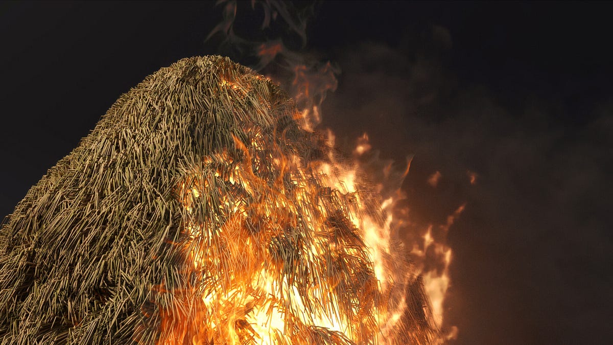 “Burning The Haystack” Is Trending | by London Steinbeck | Medium