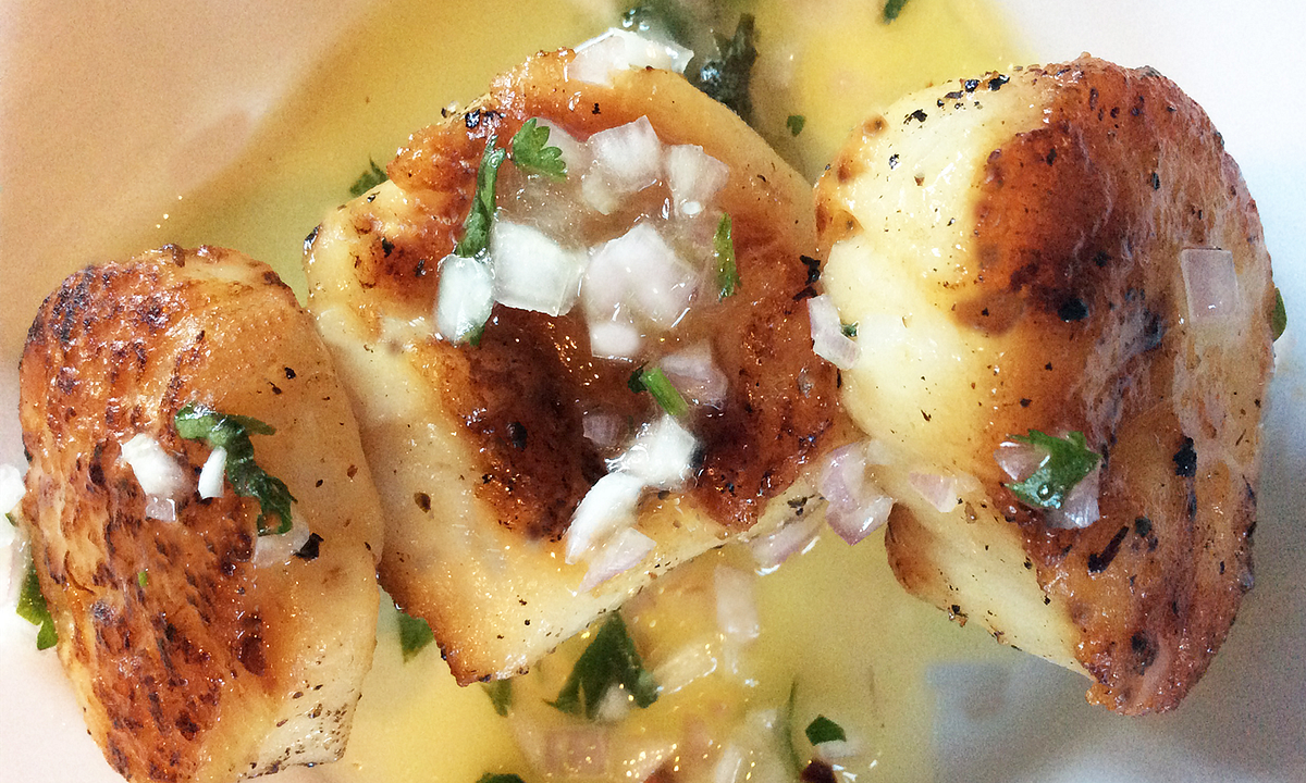 HOT SEARED SCALLOPS!. Scallop is just one of many bivalve… | by ...