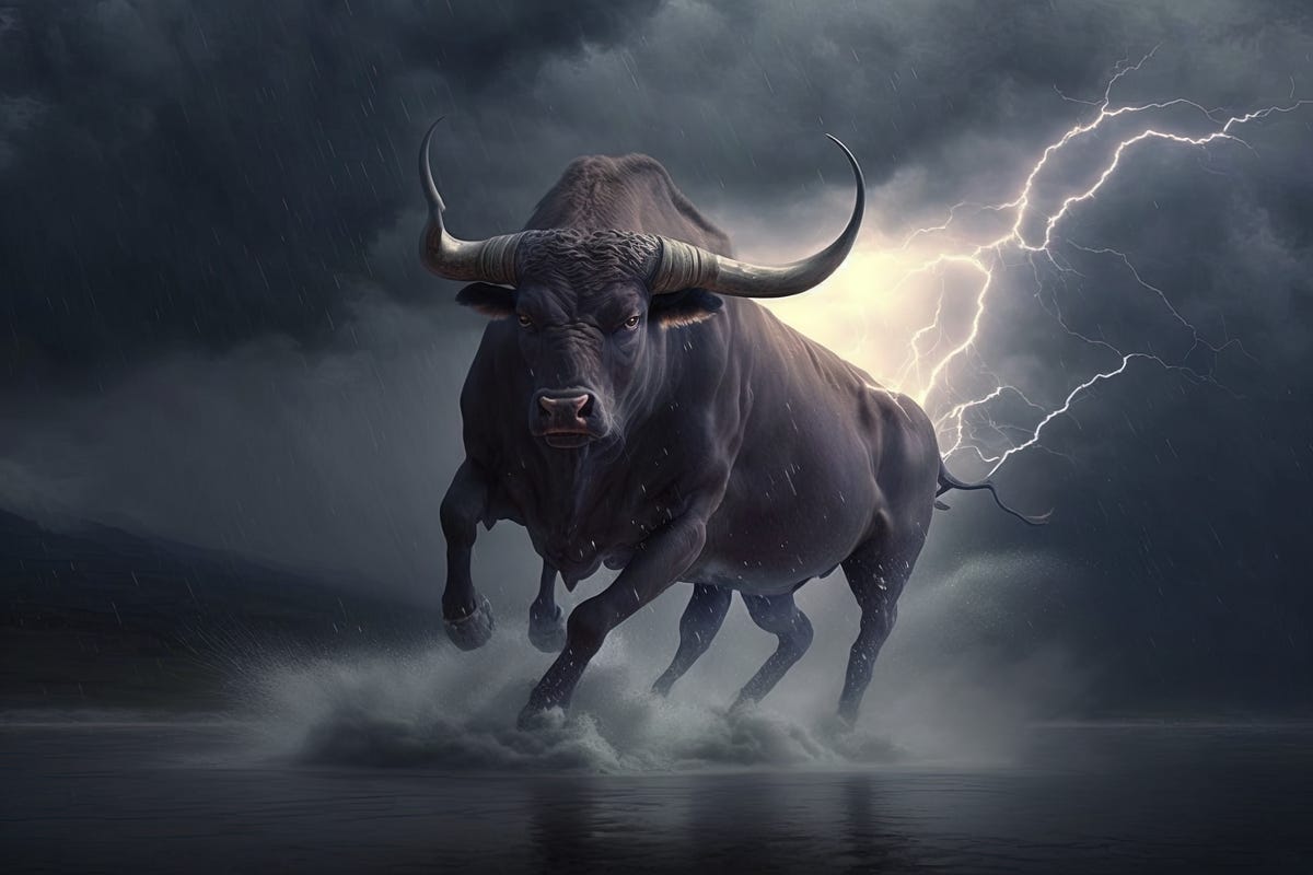 Be a Buffalo, Not a Cow. Take Up the Challenge | by Miro Konkel | Medium
