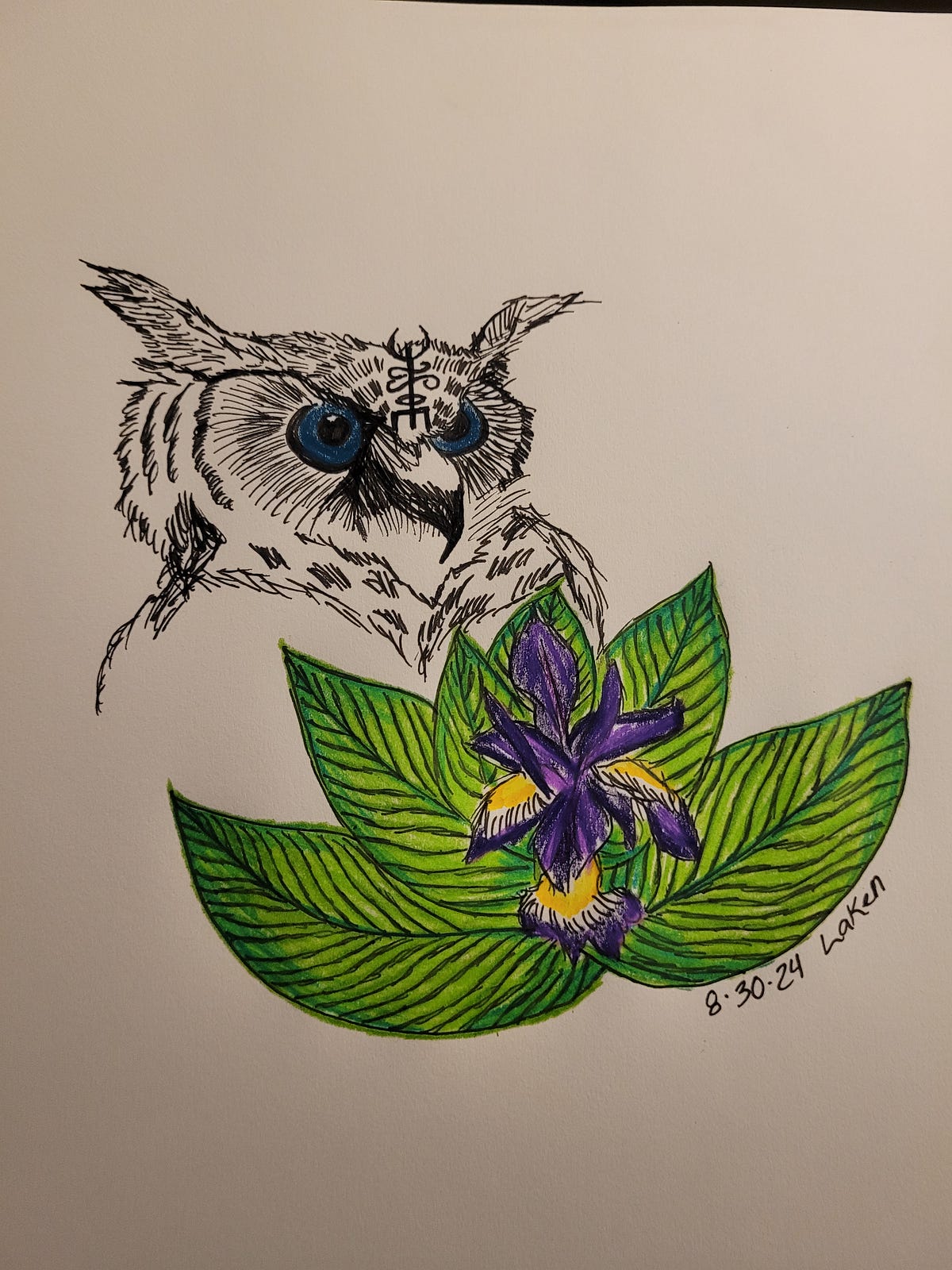 Owl, Iris, and Thekkur rune.. The first step... | by Laken Raquel | Aug ...