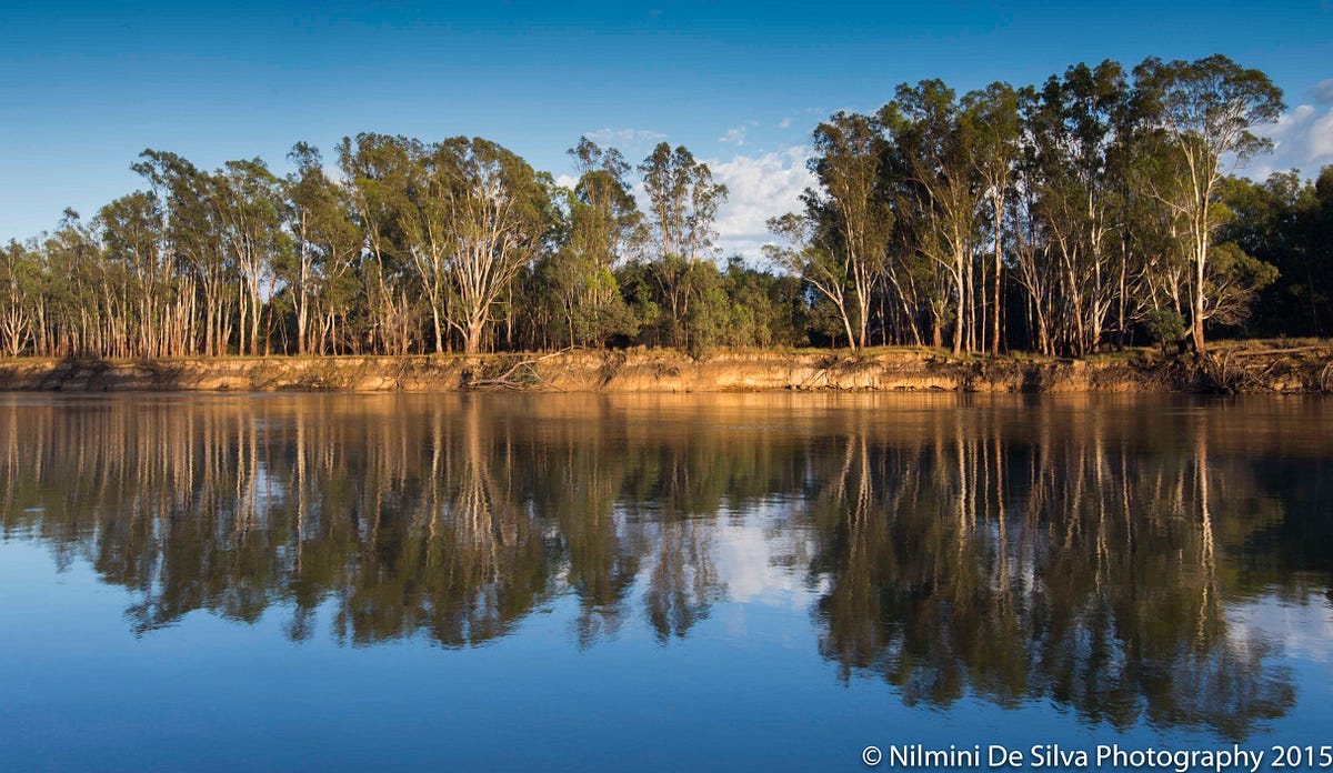 Communing with the Murray River. I had not expected the Murray River to ...