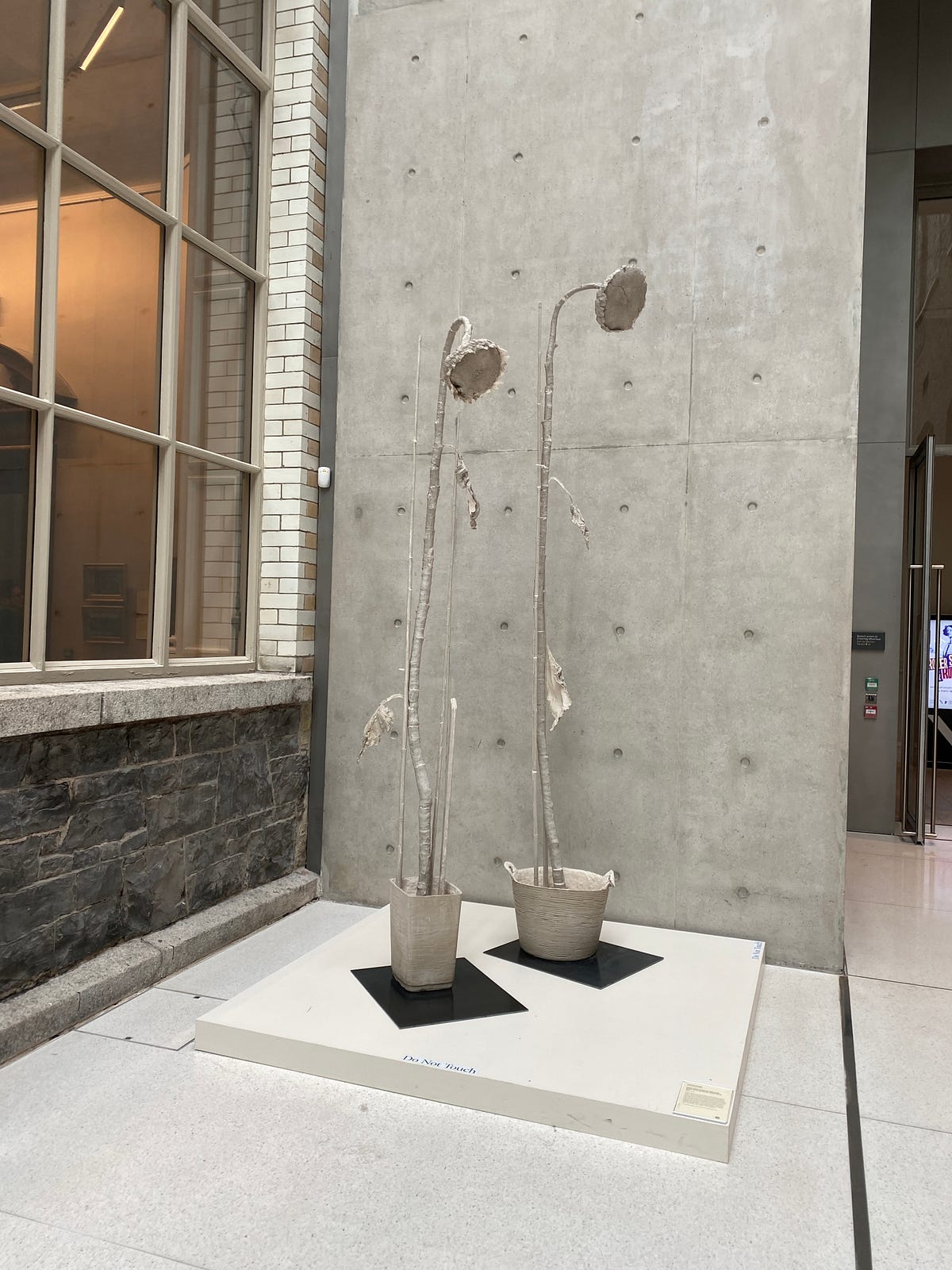 . Амьдралд ялагдах гээд байгаа мэт. - Yalgun Gansukh - Medium