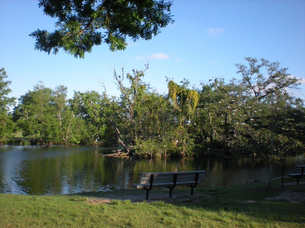 Picture in the park (a bench). A poem for K | by chris papps | Medium