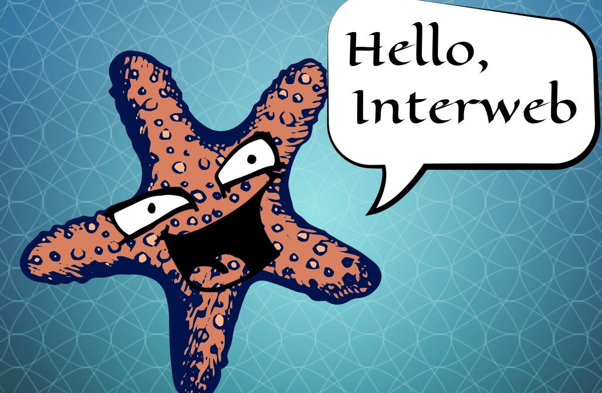 Hello world, it’s me!!. When starting on your interweb journey… | by ...