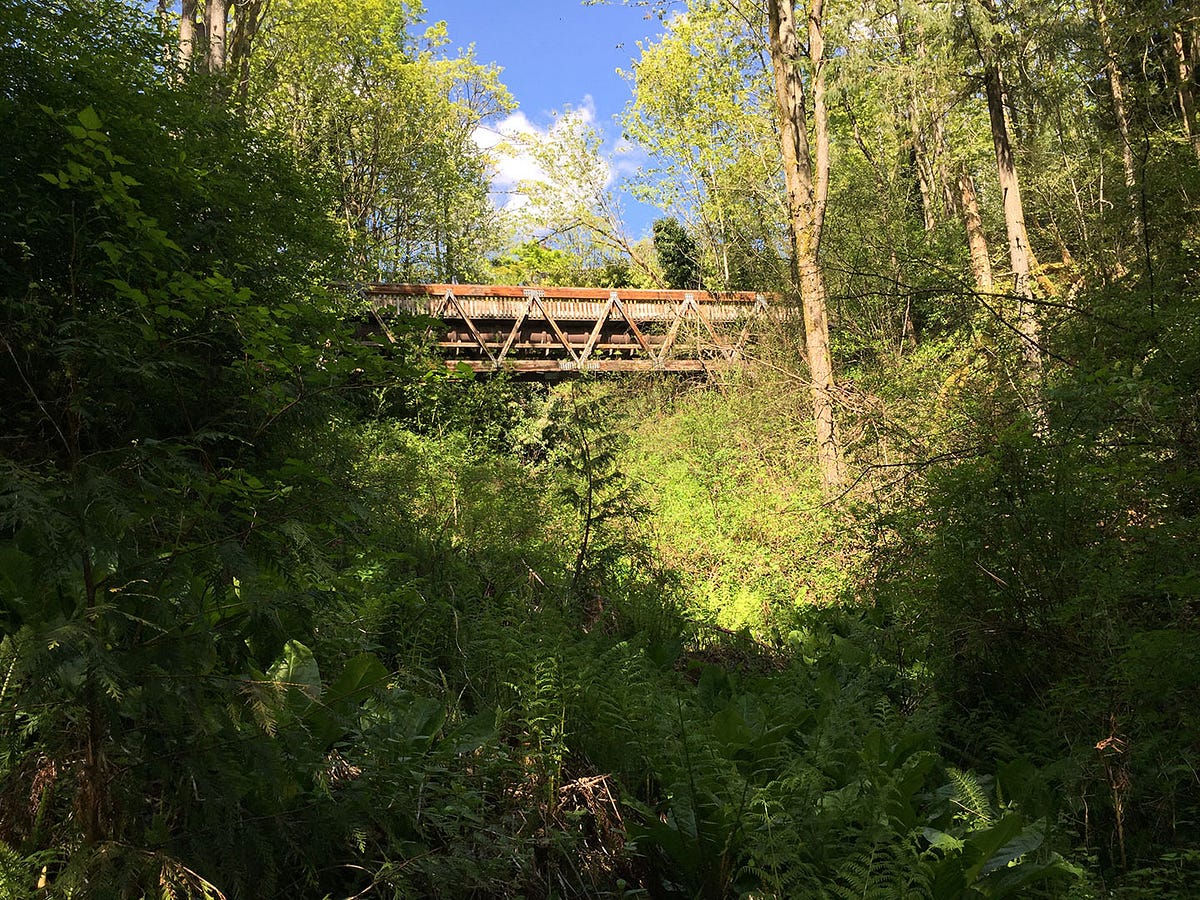 Rusty bridge in cool forest. Heat rising off rust baking in the sun ...