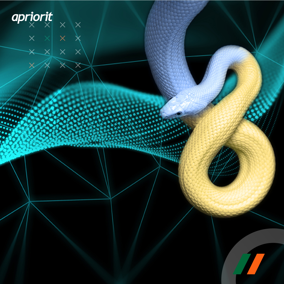 How to choose a programming language | by Apriorit | Apriorit ...